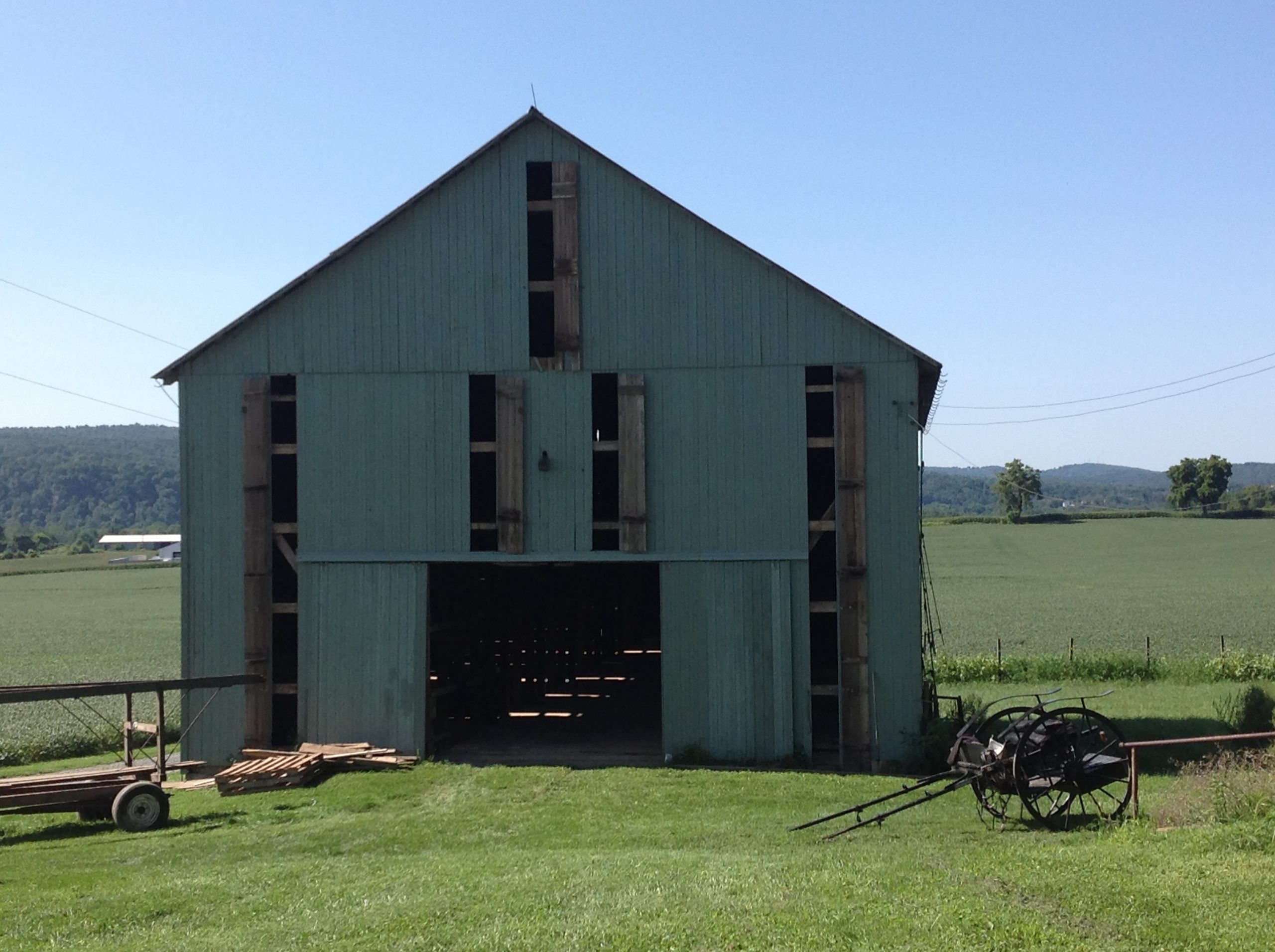 Seven ways life changed since moving to the country - Sunny Ridge Farm