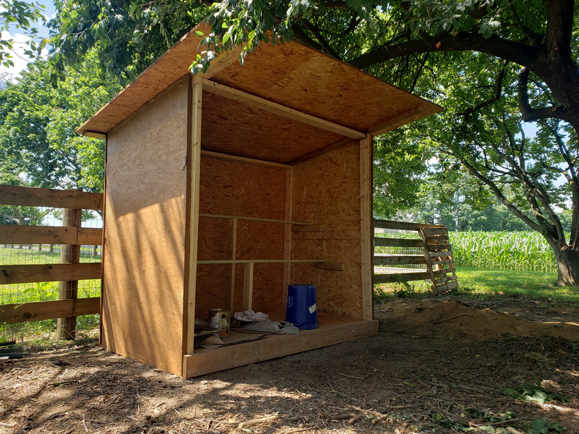 Raising Heritage Turkeys on the Homestead - Sunny Ridge Farm